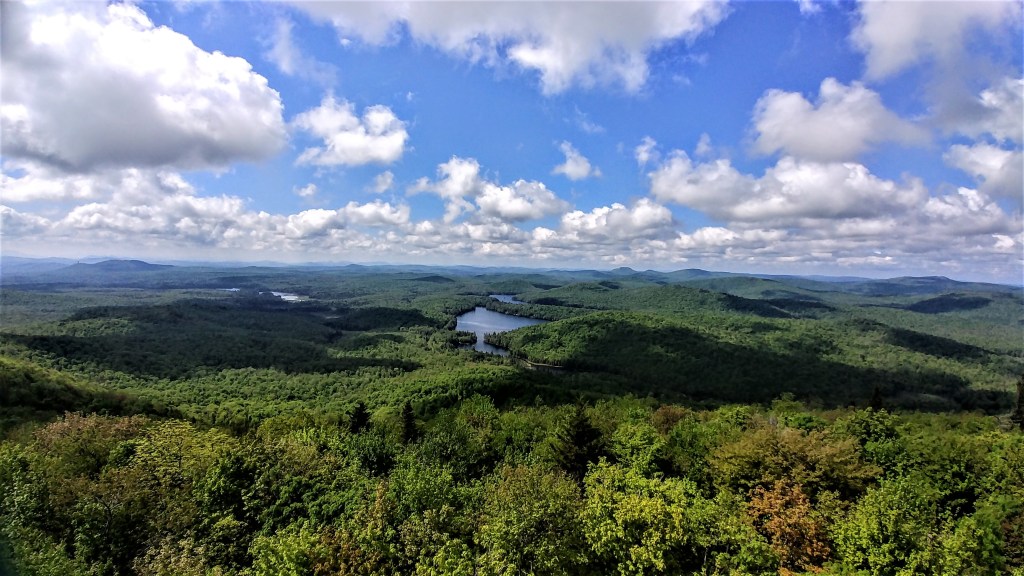 Mount Arab – ADK Trail Tales and Tails